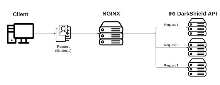 Load Balancing & Authenticating DarkShield via NGINX - IRI