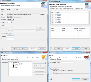 Testing and Masking Singapore NRICs - IRI