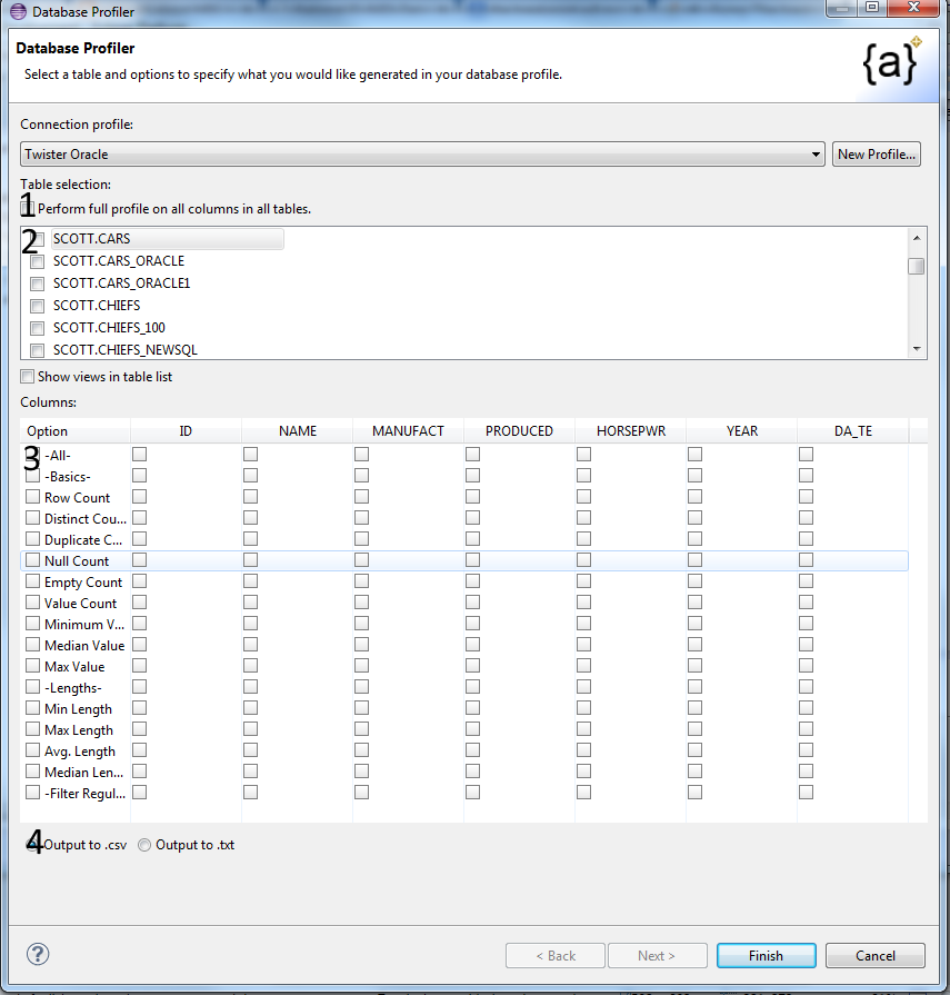 Database Profiling in IRI Workbench — IRI Blog