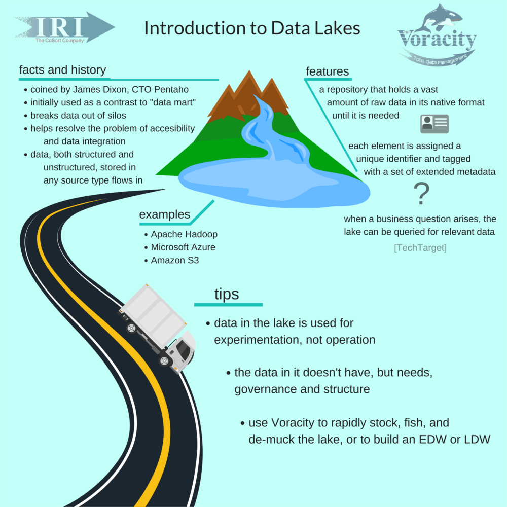 The Use of Data Lakes - IRI