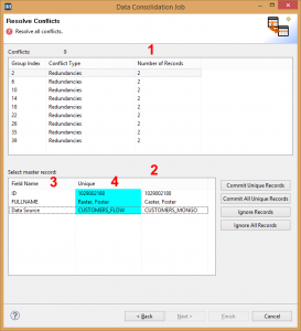 Master Data Management Archives - IRI