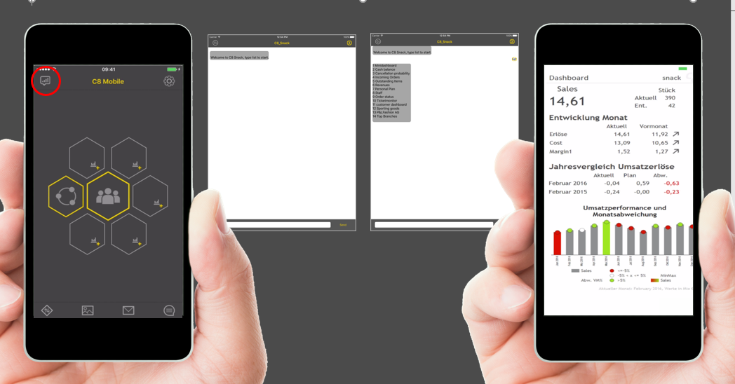 Improving Insight with IRI Voracity and Cubeware Cockpit - IRI