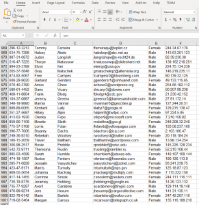XLS2DDF: IRI’s Spreadsheet Metadata Conversion Utility - IRI