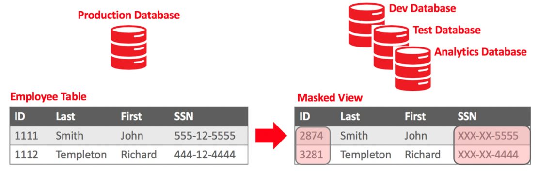 IRI Data Masking - IRI