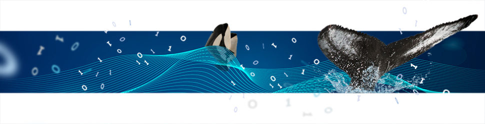The IRI Platform - IRI