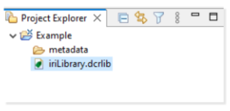 Data Class & Rule Library in IRI Workbench - IRI