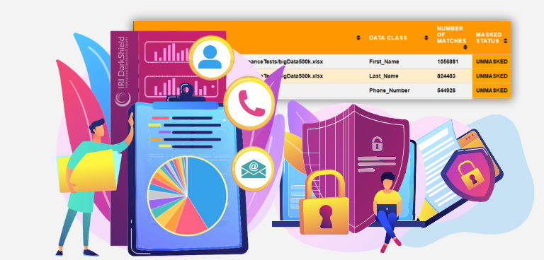 DarkShield PII Discovery & Masking Charts - IRI