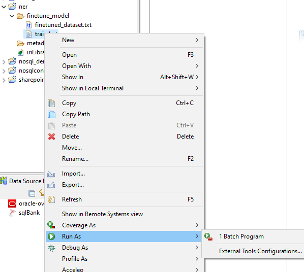 Training NER Models in IRI DarkShield - IRI