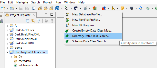 Directory Data Class Search Wizard - IRI
