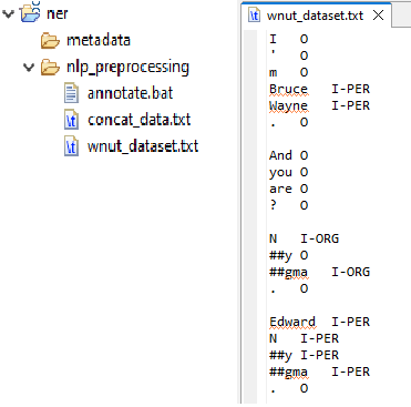 Training NER Models in IRI DarkShield - IRI