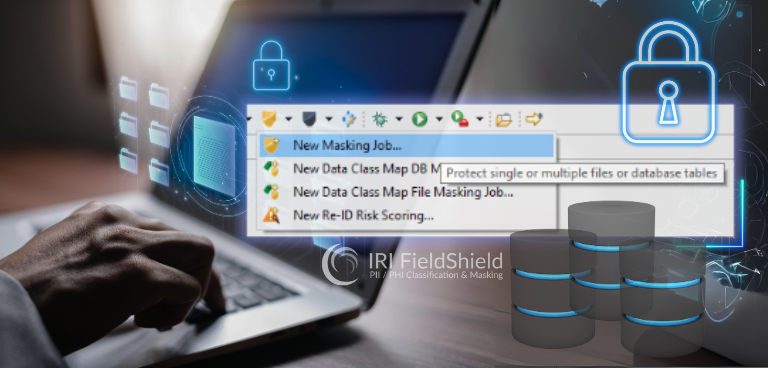 The Basic FieldShield Masking Job Wizard - IRI